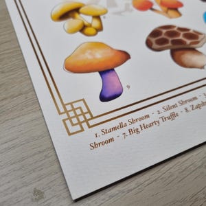 Legend of Zelda, Mushroom Compendium, Fungi of Hyrule, Mushroom Poster ...