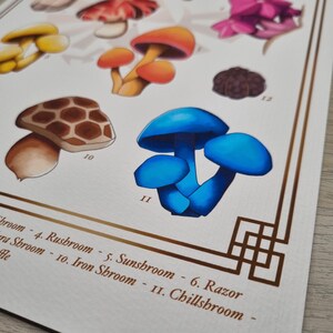Legend of Zelda, Mushroom Compendium, Fungi of Hyrule, Mushroom Poster ...