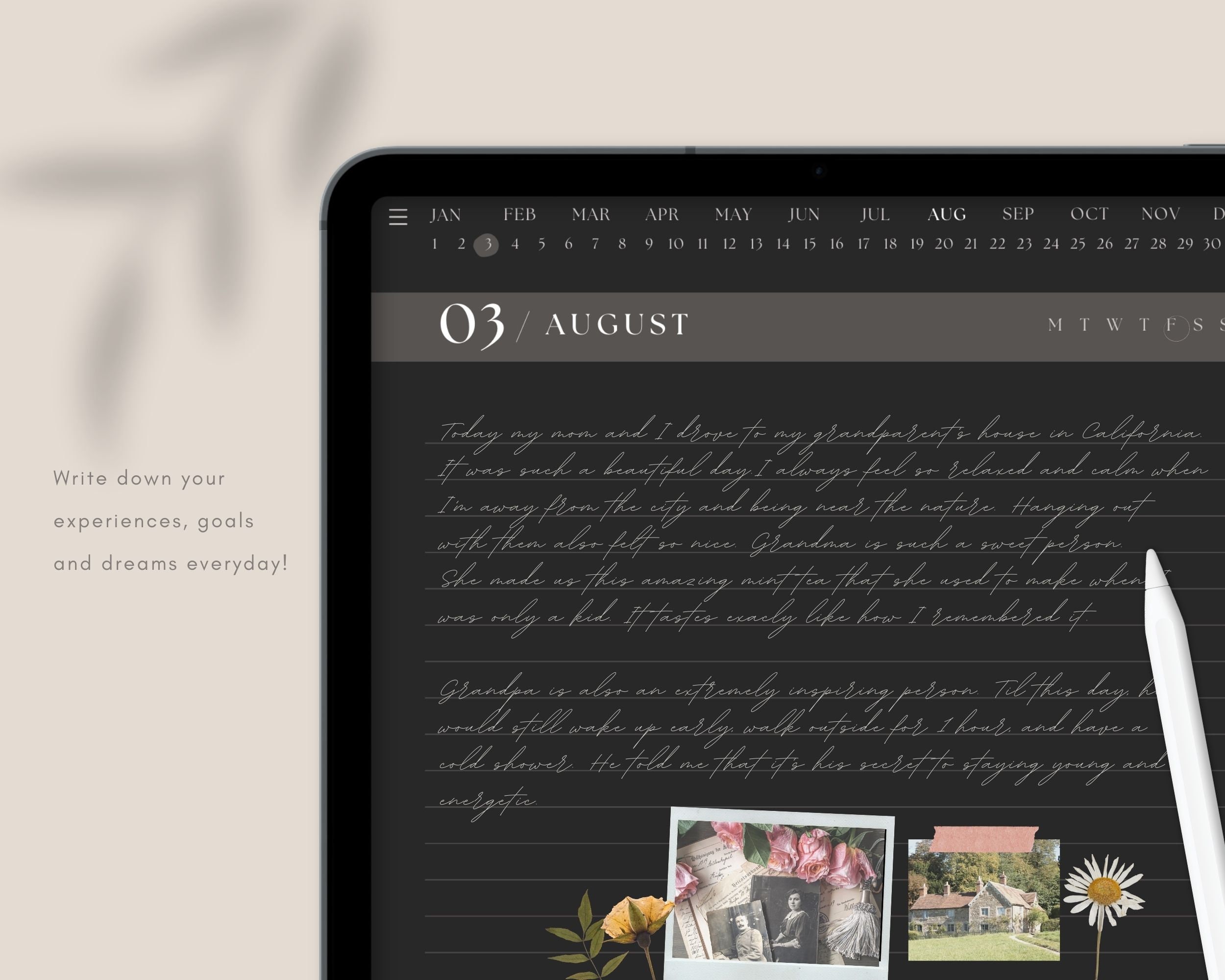 Digital Daily Journal, Digital Journal for Ipad, Goodnotes and ...