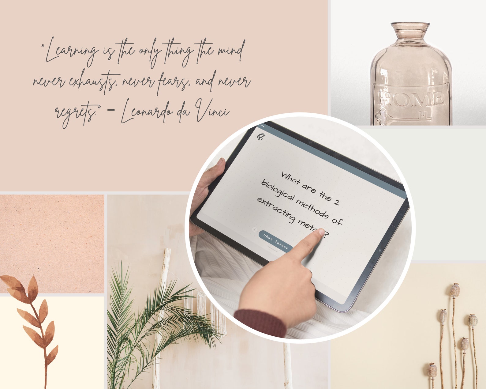 48 Digital Flashcards Study Cards for Goodnotes Notability - Etsy