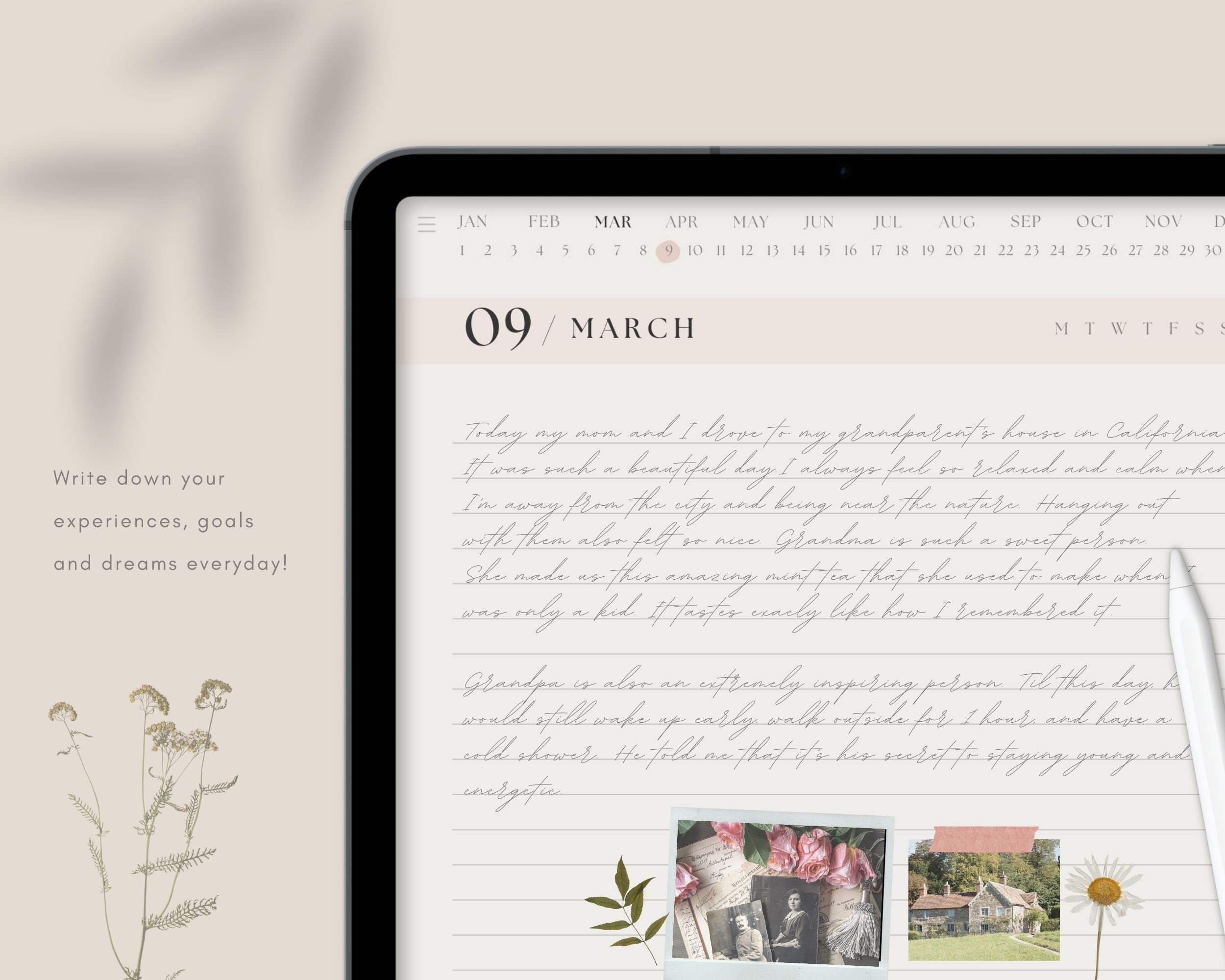 Digital Daily Journal Undated Digital 365 Day Diary - Etsy