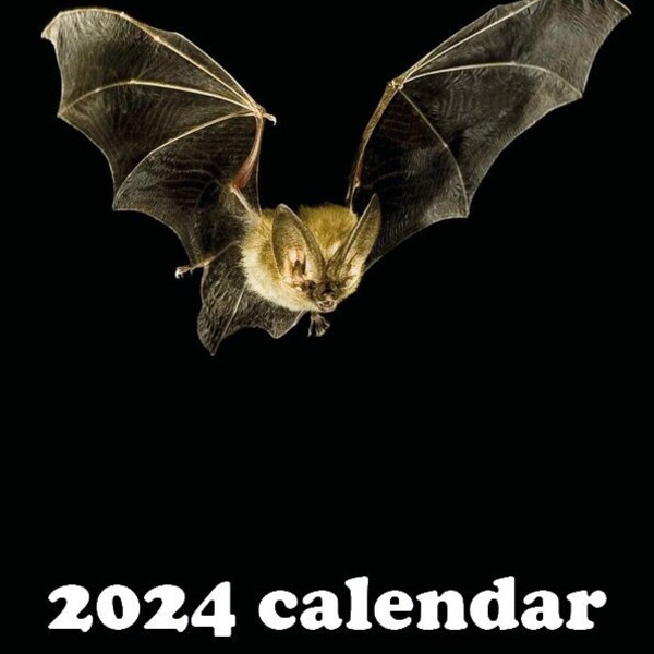 Bat 2024 Calendar - Etsy