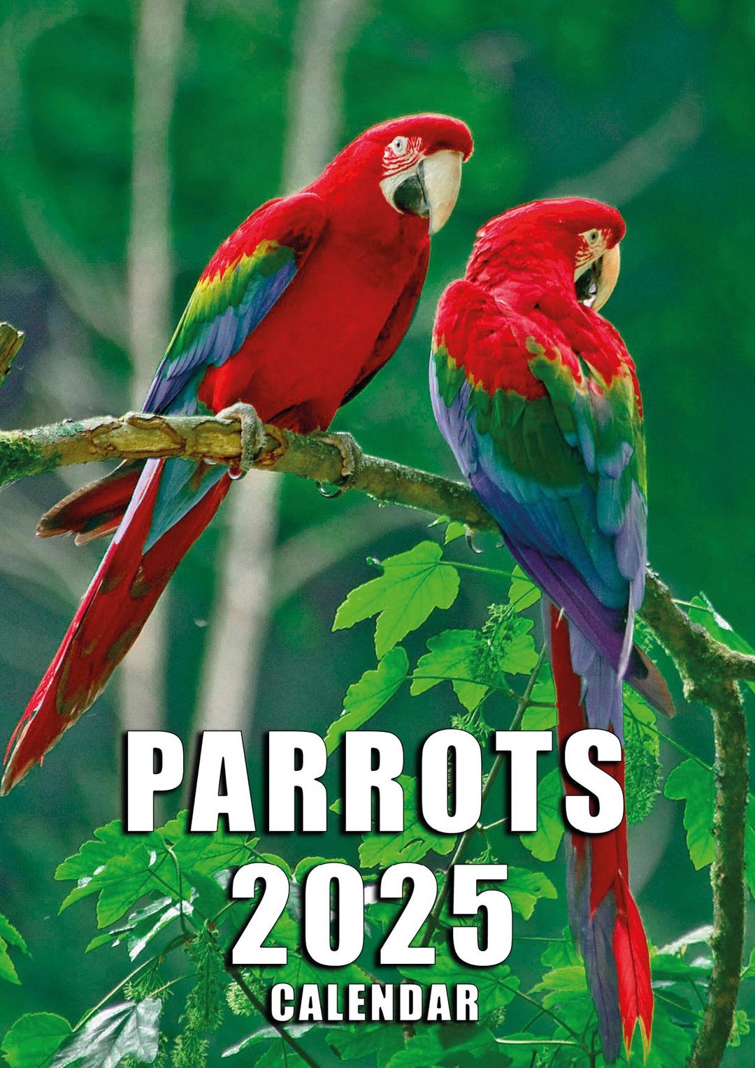 Parrots Calendar 2025 - Etsy