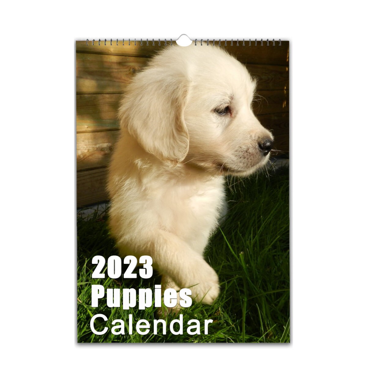 Puppy Calendar 2023 - Etsy