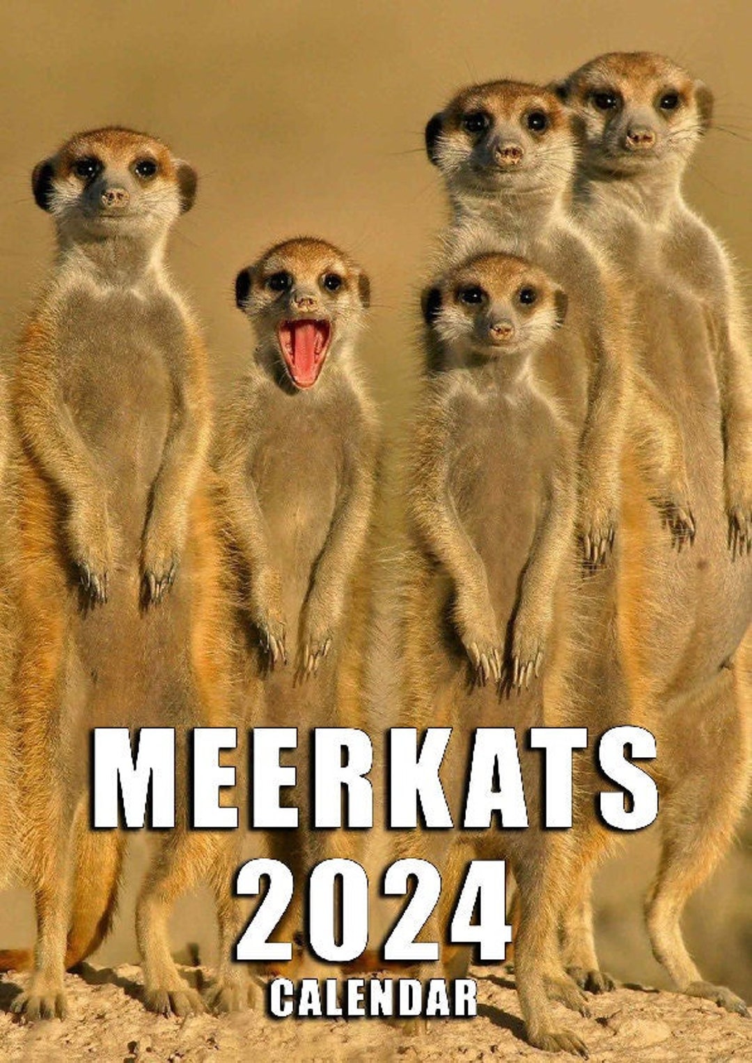 Meerkats Calendar 2024 - Etsy UK