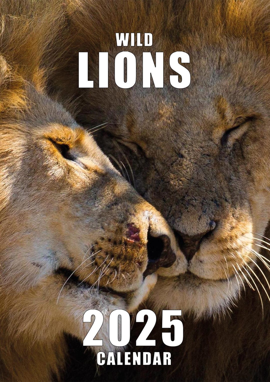 Lions Calendar 2025 - Etsy