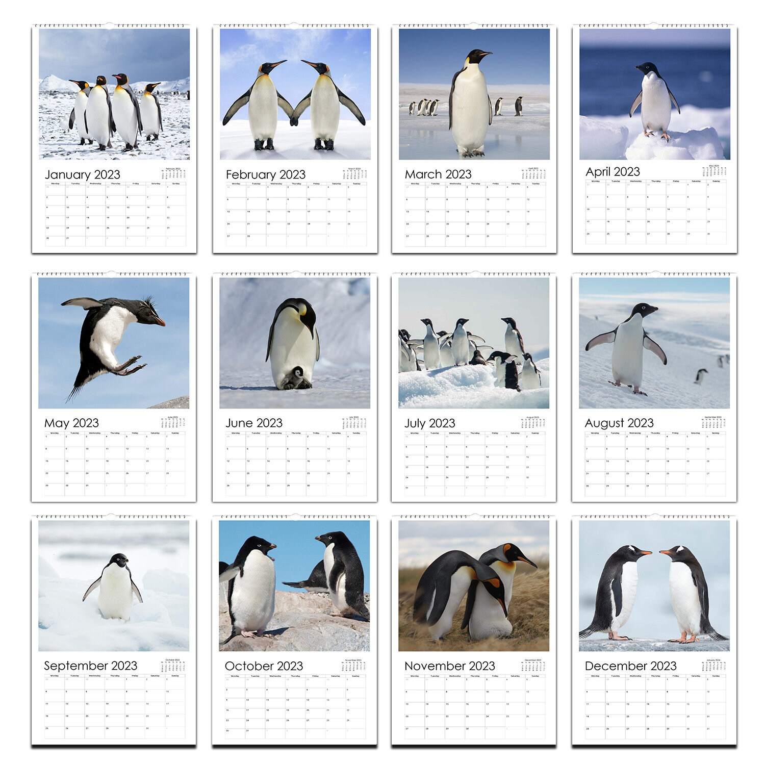 Penguins Calendar 2024 - Etsy