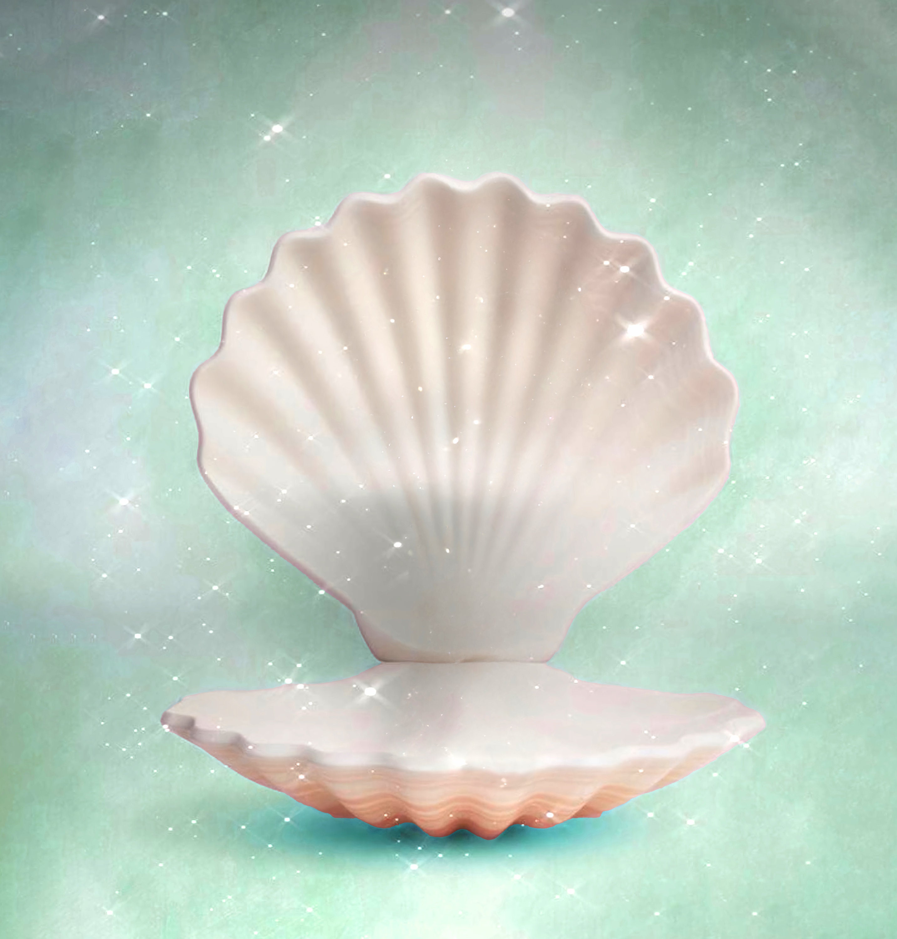 Seashell Background, Fantasy Background, Ocean Background - Etsy