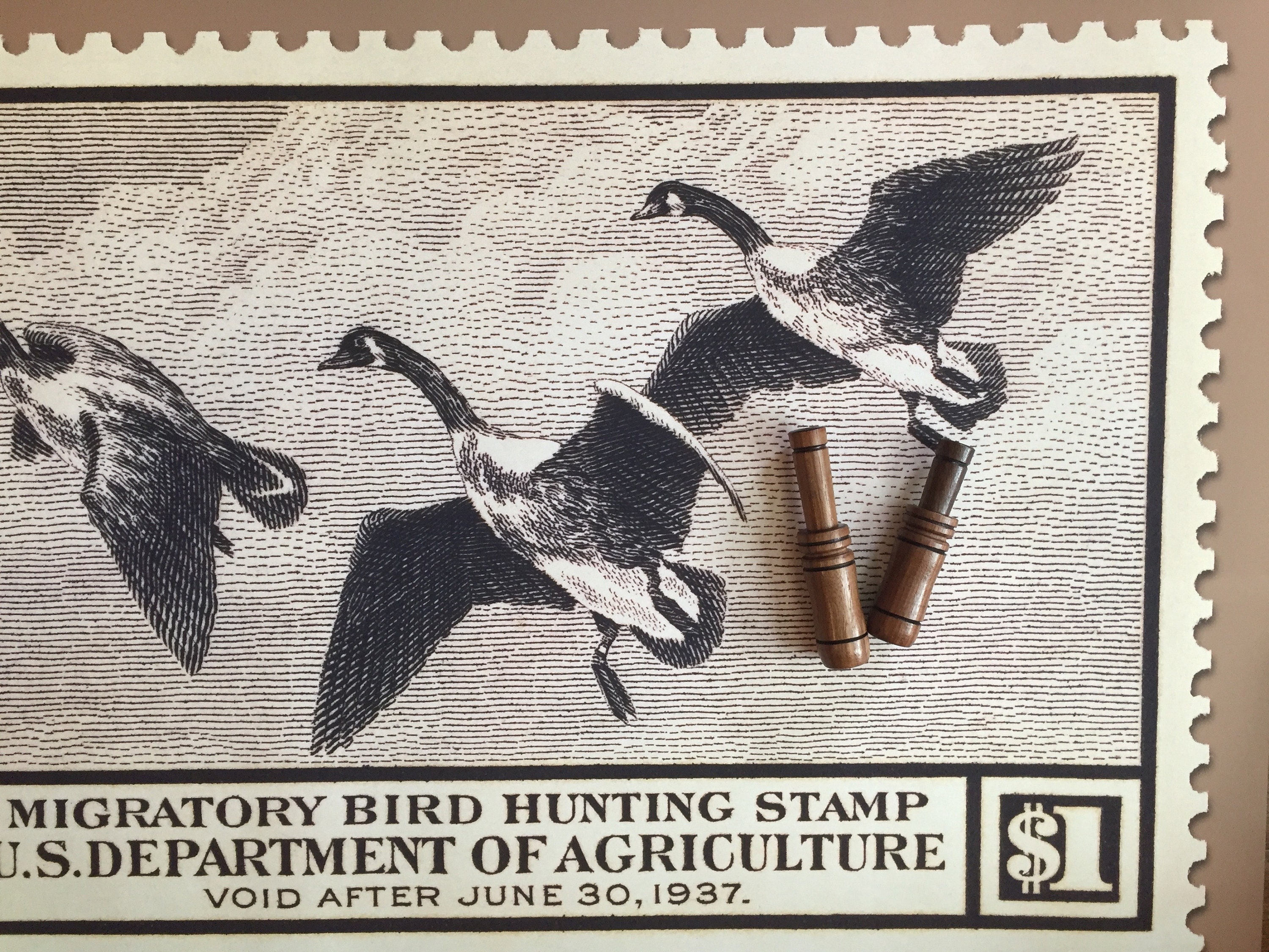 Duck Hunting Art, 1936 Federal Duck Stamp Poster Print, 36x24 - Etsy