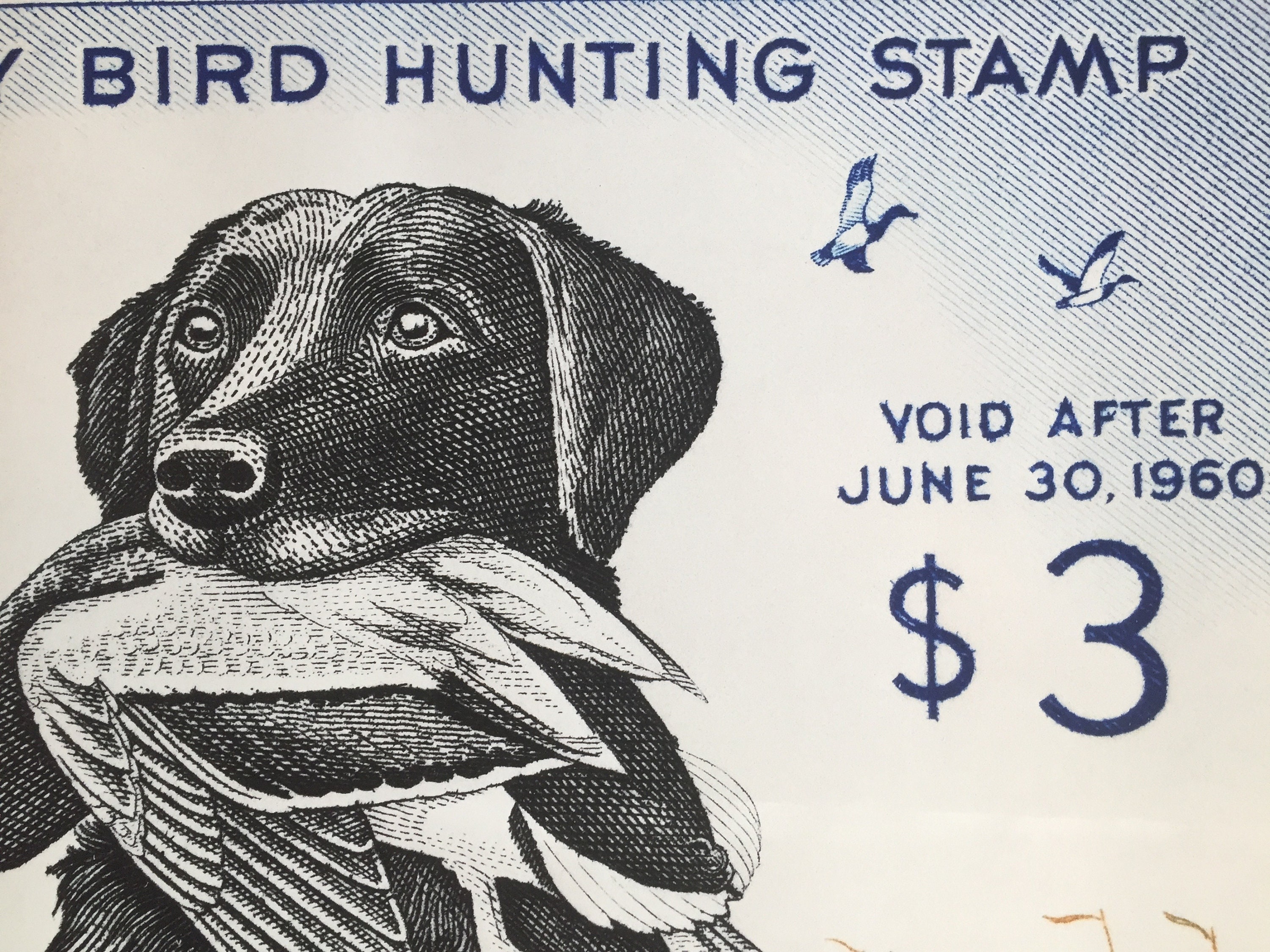 Duck Hunting Art, 1959 Federal Duck Stamp Poster Print, 36x24 - Etsy