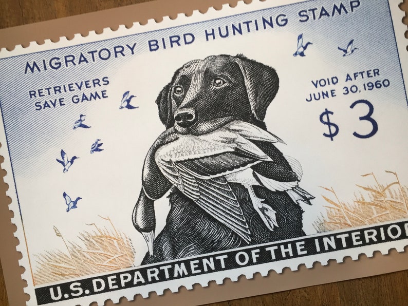 Duck Hunting Art, 1959 Federal Duck Stamp Poster Print, 36x24 - Etsy