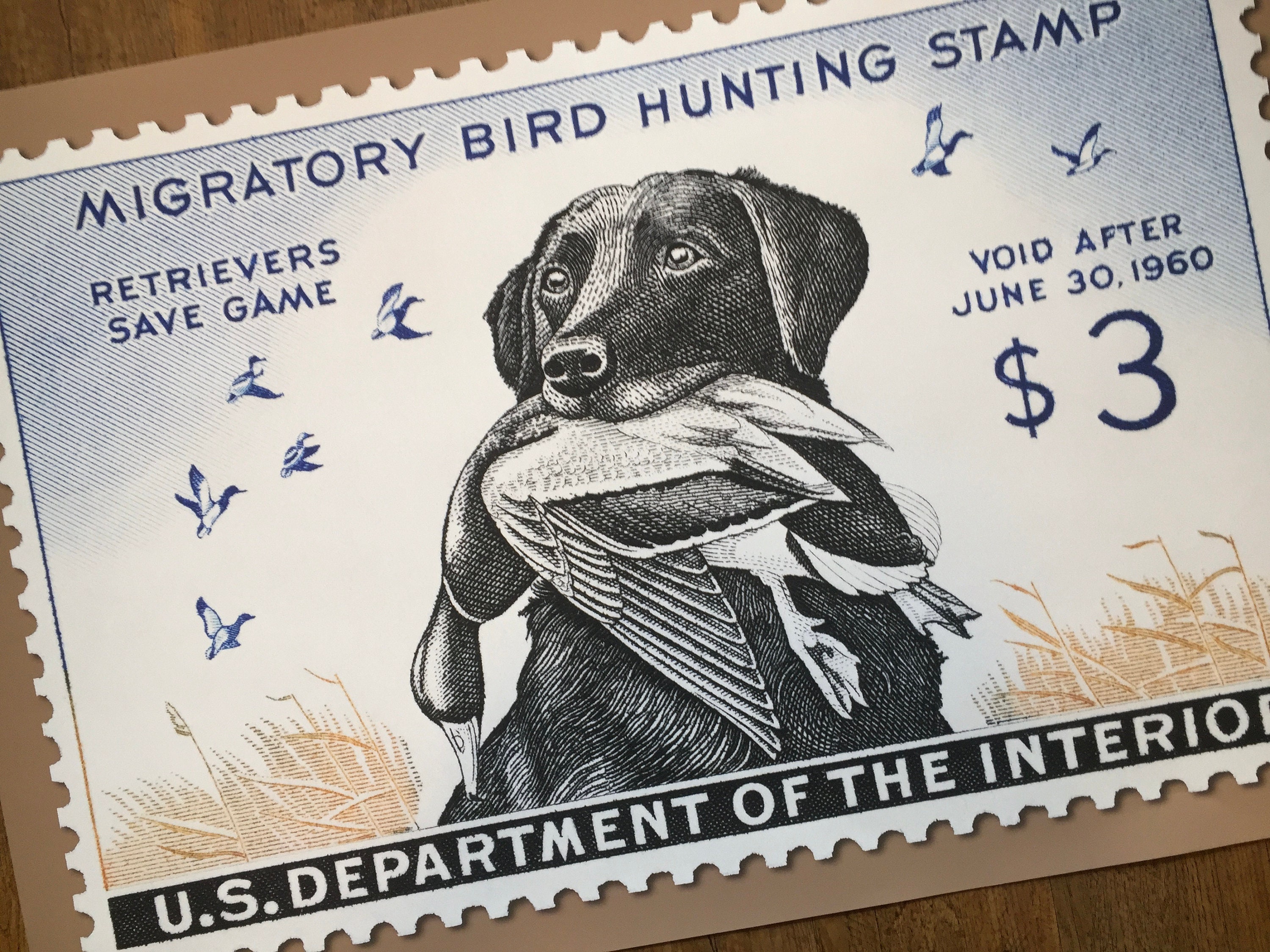 Duck Hunting Art 1959 Federal Duck Stamp Poster Print 36x24 - Etsy