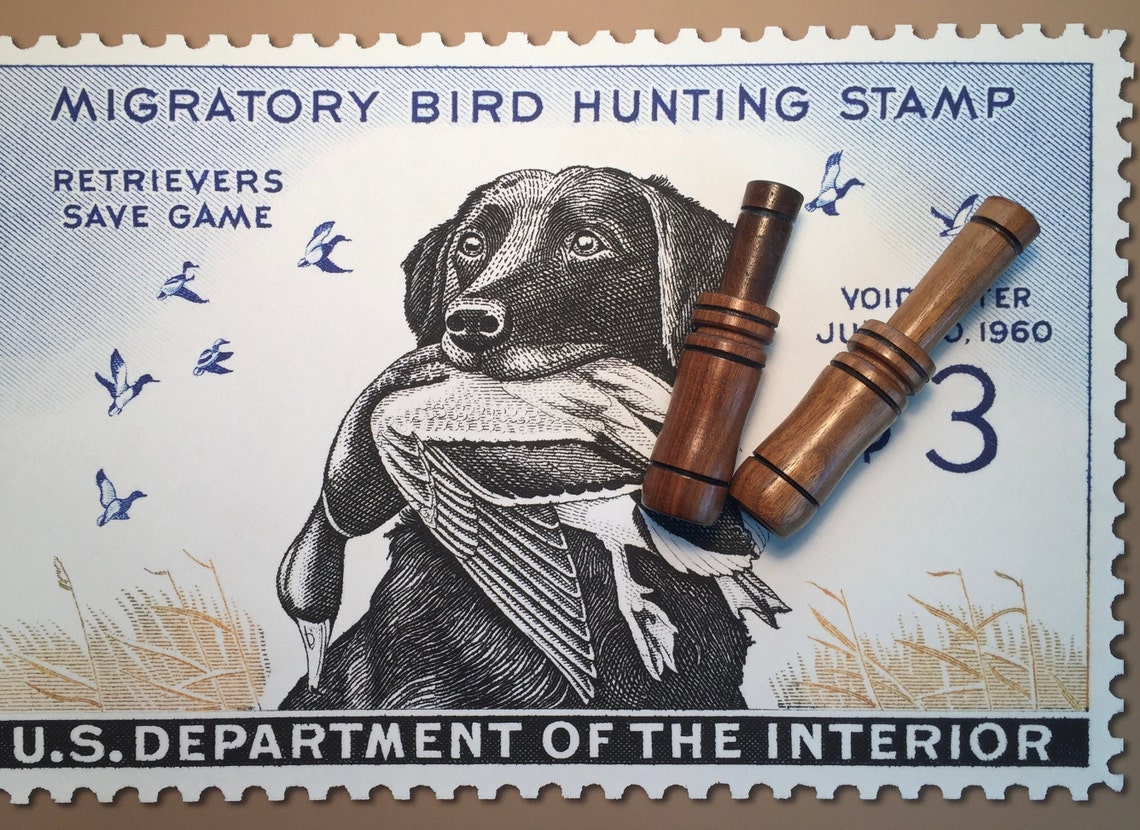Duck Hunting Art 1959 Federal Duck Stamp Poster Print 18x12 - Etsy