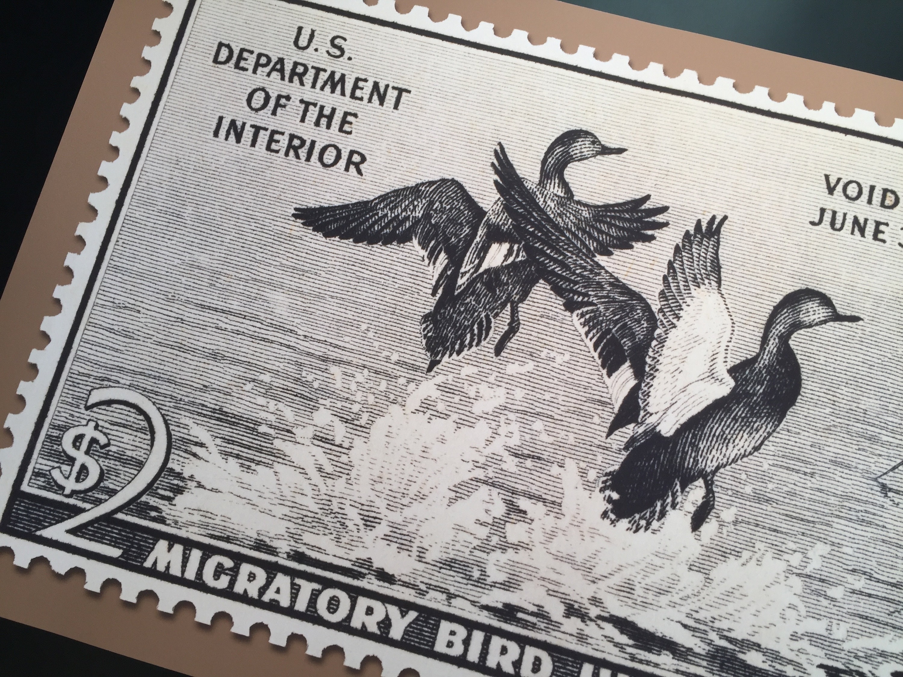 Duck Hunting Art, 1951 Duck Stamp Poster Print, 18x12 - Etsy
