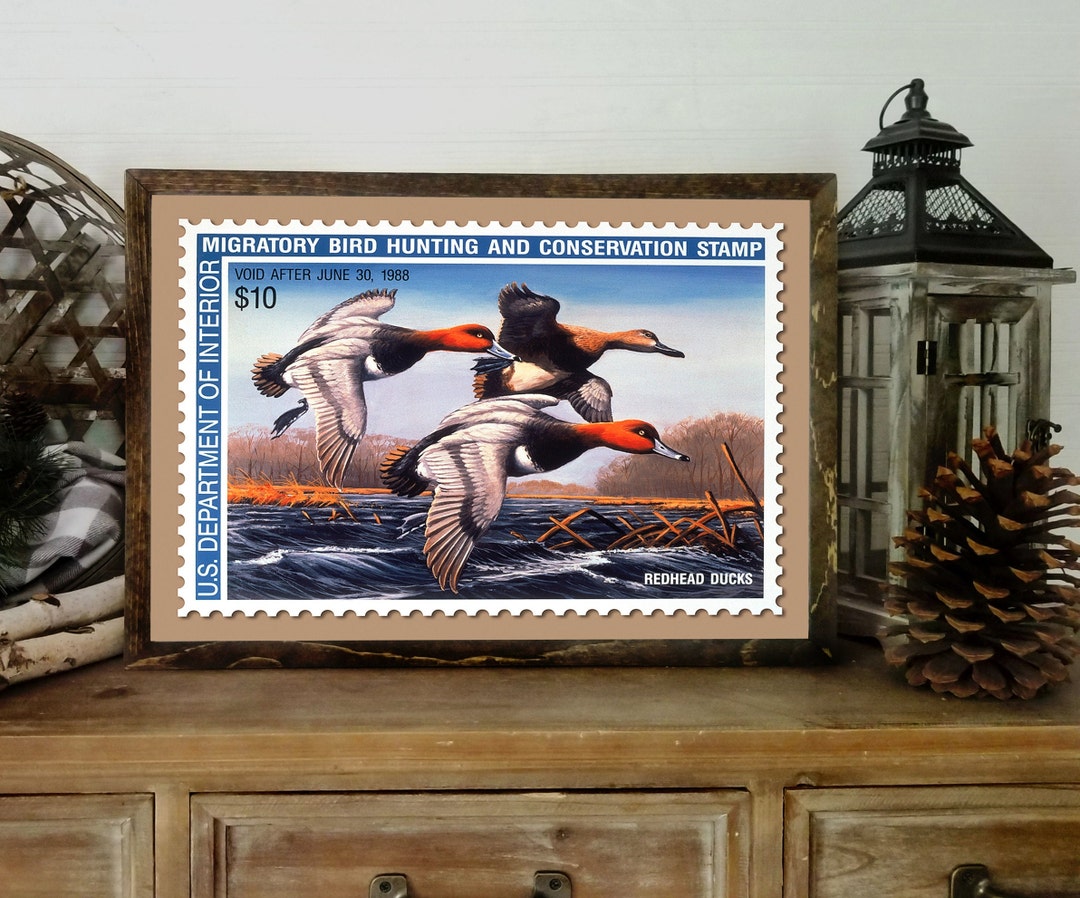 Duck Hunting Art, 1987 Duck Stamp Poster Print, 18x12 - Etsy