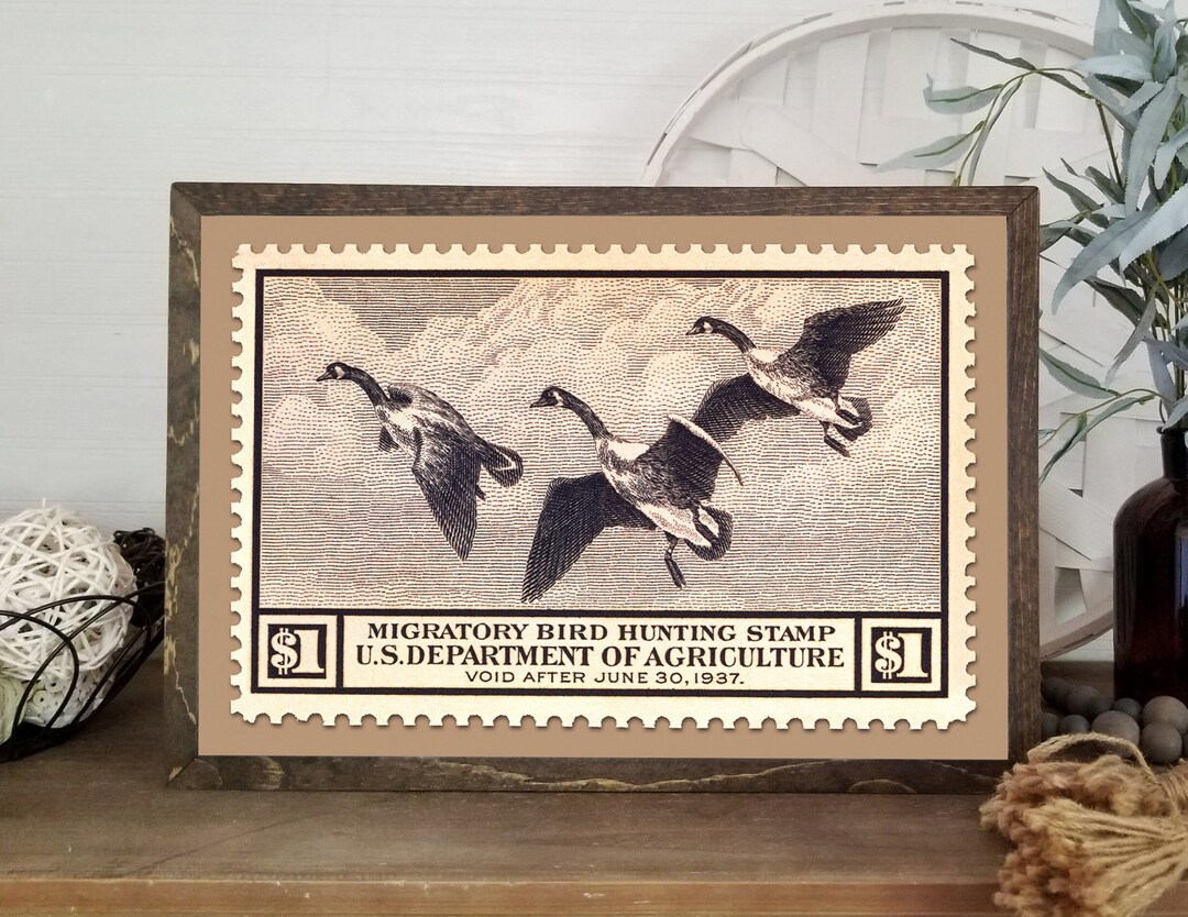 Duck Hunting Art, 1936 Duck Stamp Poster Print, 18x12 - Etsy