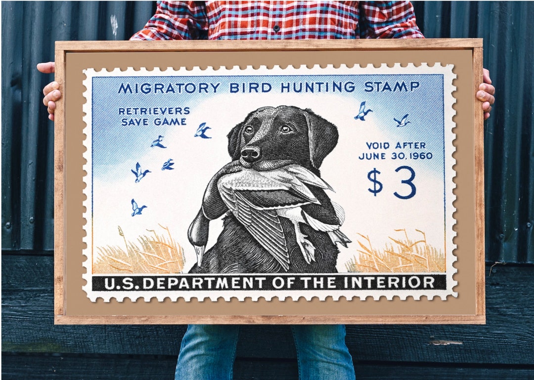 Duck Hunting Art, 1959 Federal Duck Stamp Poster Print, 36x24 - Etsy