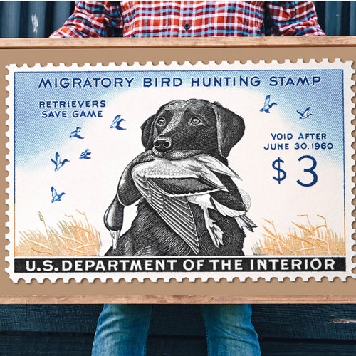 Duck Hunting Art 1959 Federal Duck Stamp Poster Print 18x12 - Etsy