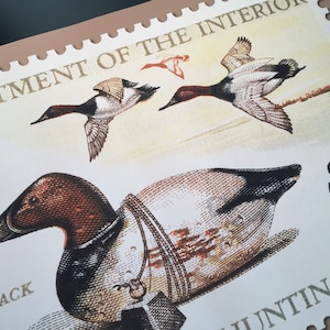 Duck Hunting Art, 1975 Duck Stamp Poster Print, 18x12 - Etsy