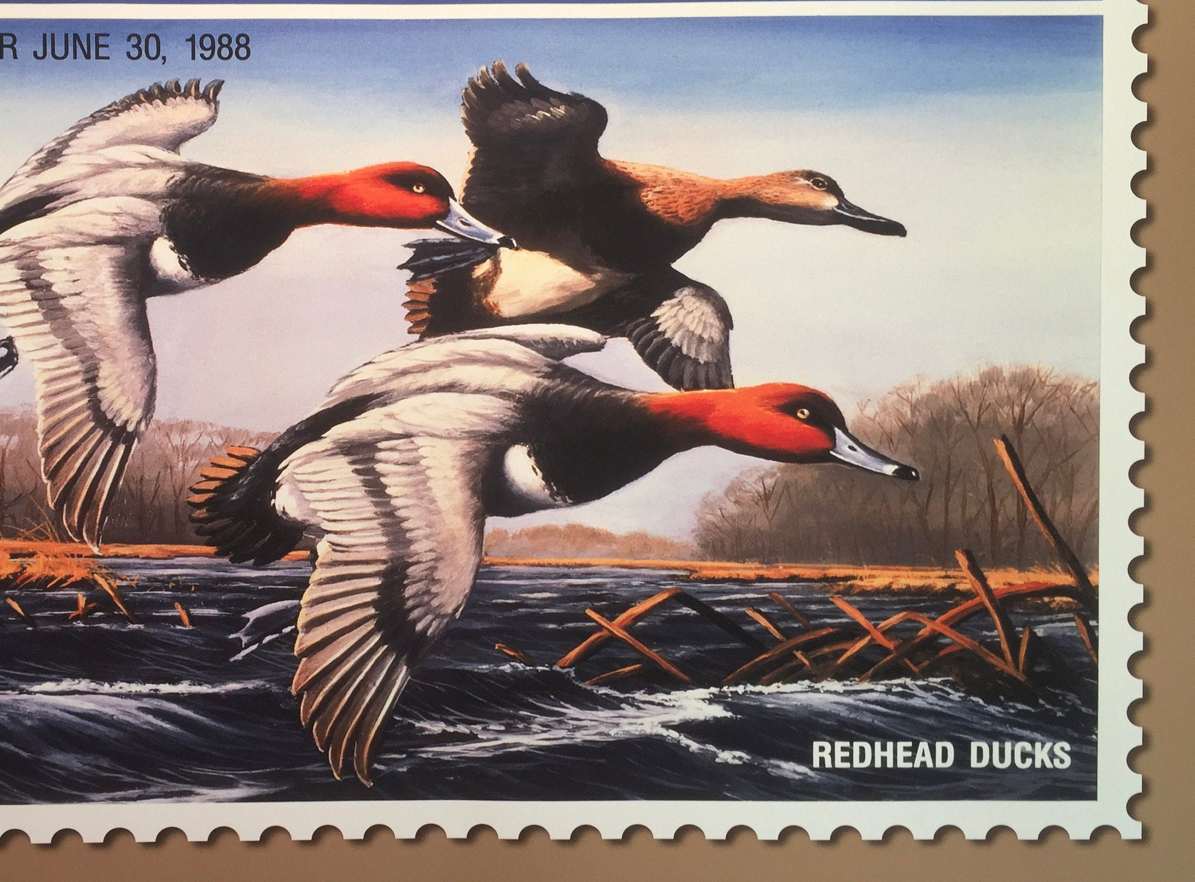 Duck Hunting Art 1987 Duck Stamp Poster Print 18x12 - Etsy