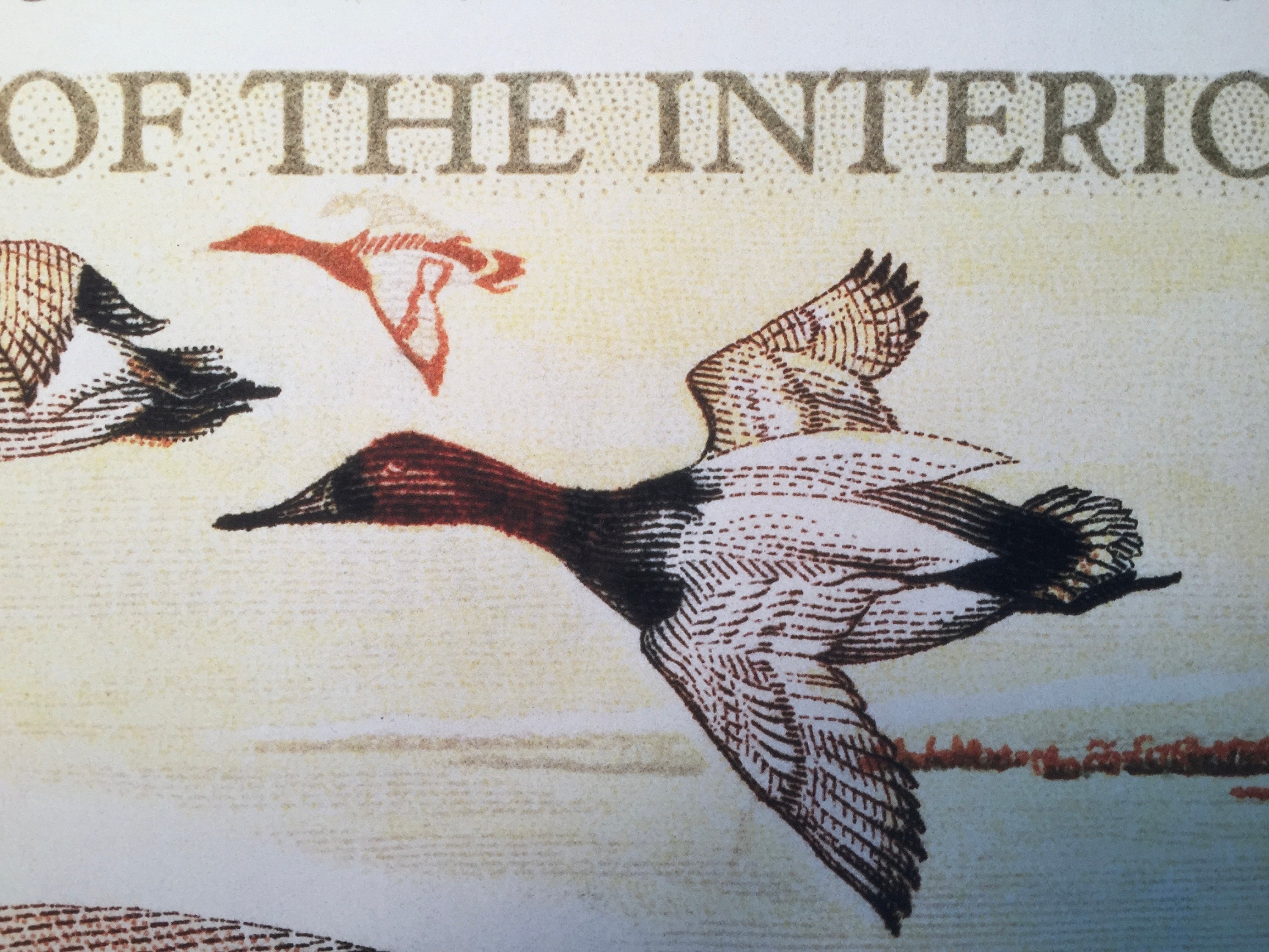 Duck Hunting Art 1975 Duck Stamp Poster Print 18x12 - Etsy