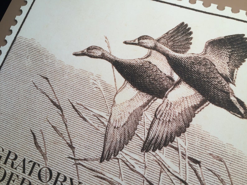 Duck Hunting Art, 1940 Duck Stamp Poster Print, 18x12 - Etsy