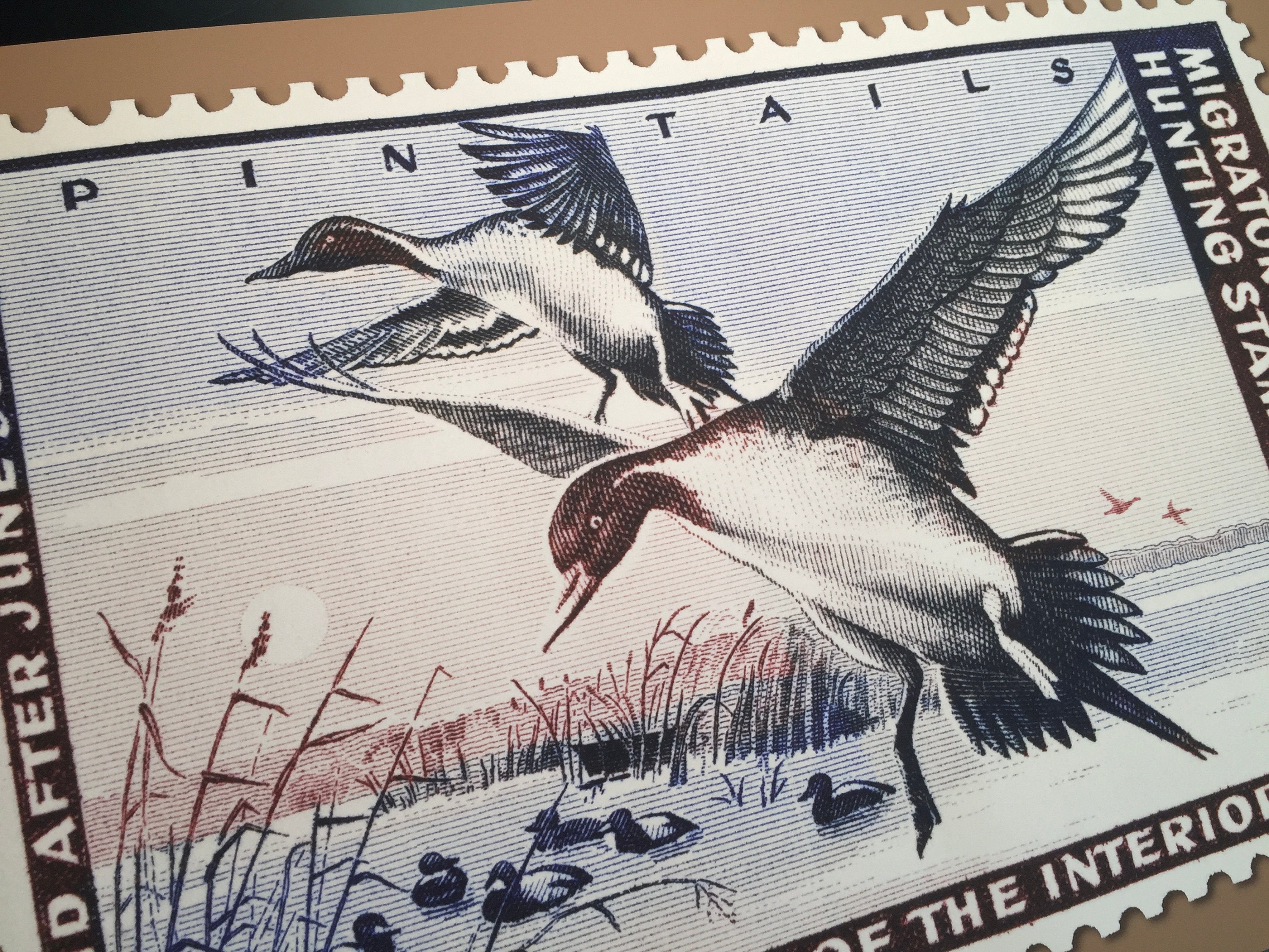 Duck Hunting Art, 1962 Duck Stamp Poster Print, 18x12 - Etsy