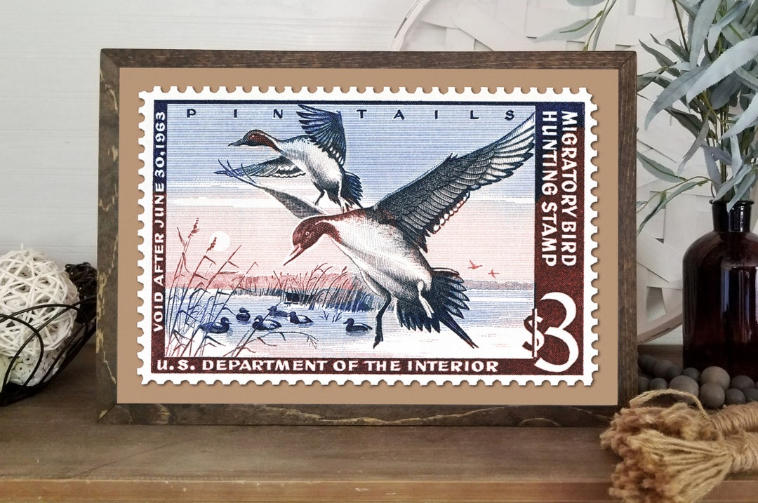Duck Hunting Art, 1962 Duck Stamp Poster Print, 18x12 - Etsy