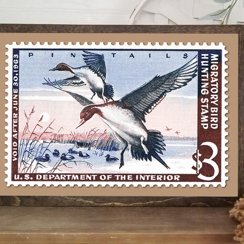 Duck Hunting Art 1959 Federal Duck Stamp Poster Print 18x12 - Etsy