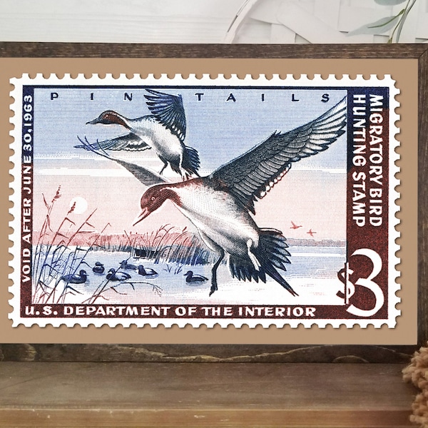 Framed Duck Stamp Print - Etsy