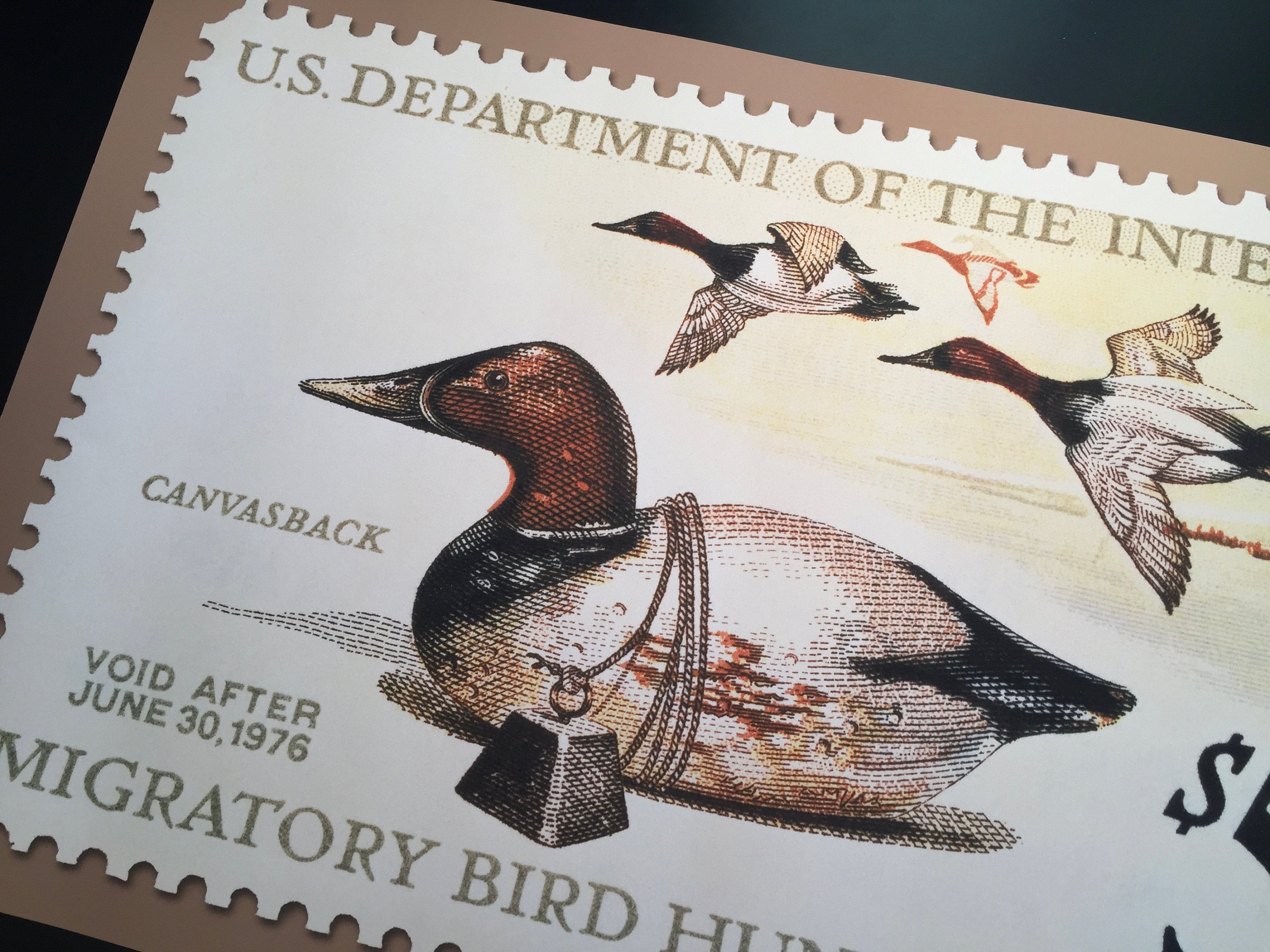 Duck Hunting Art 1975 Duck Stamp Poster Print 18x12 - Etsy