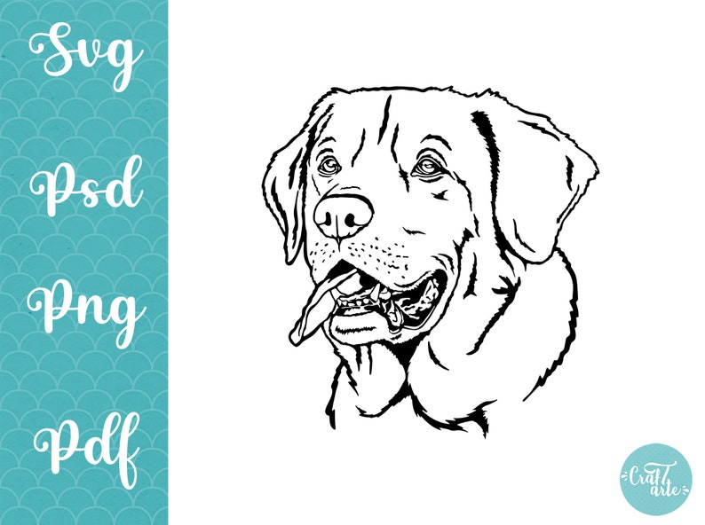 Labrador Svg Files Cricut, Dog Svg Clipart Download, Laboratory T-shirt ...