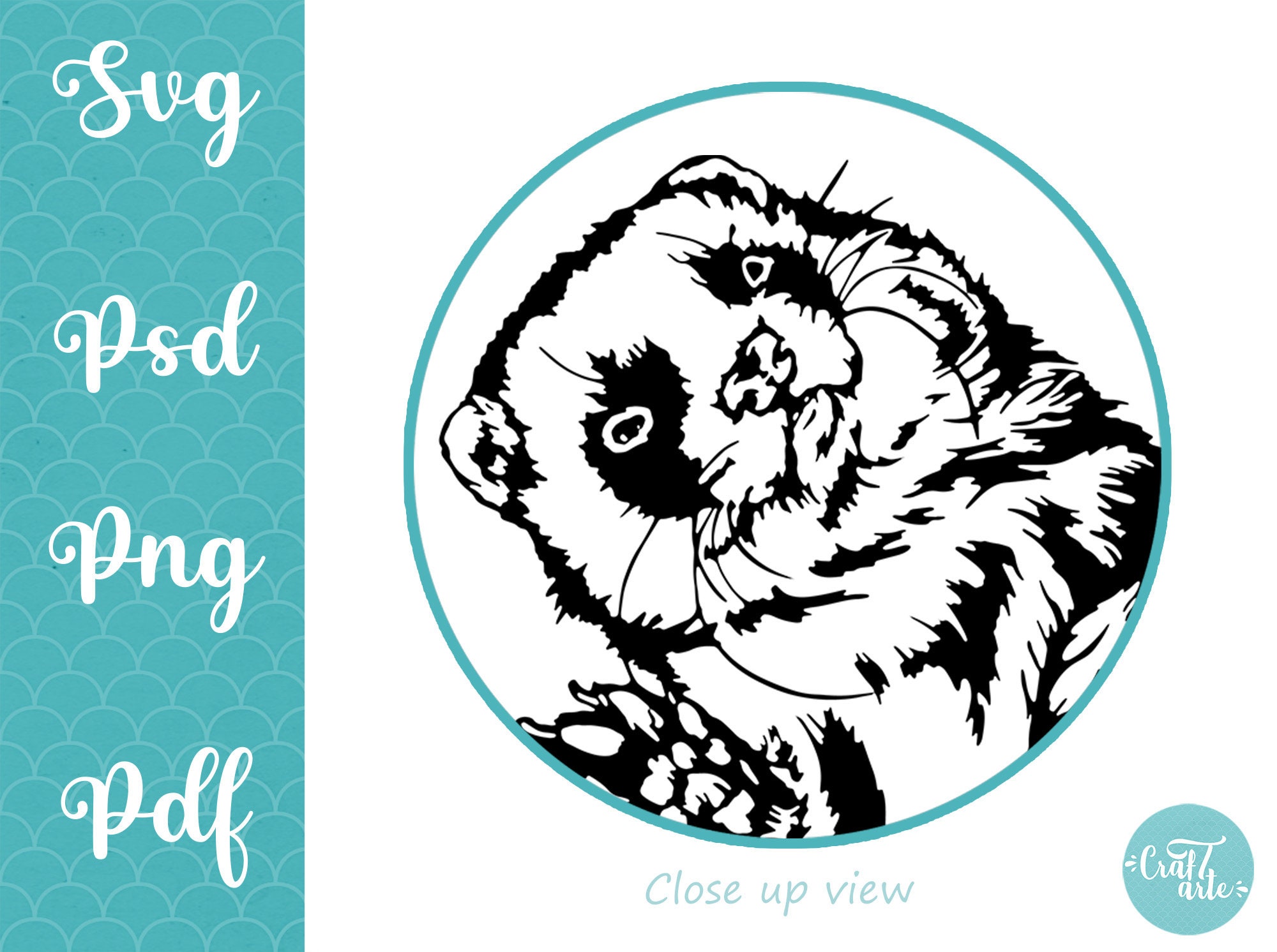 Ferrets PNG, Cute Ferret Svg, Ferret Design Clipart, Playing, Vector ...