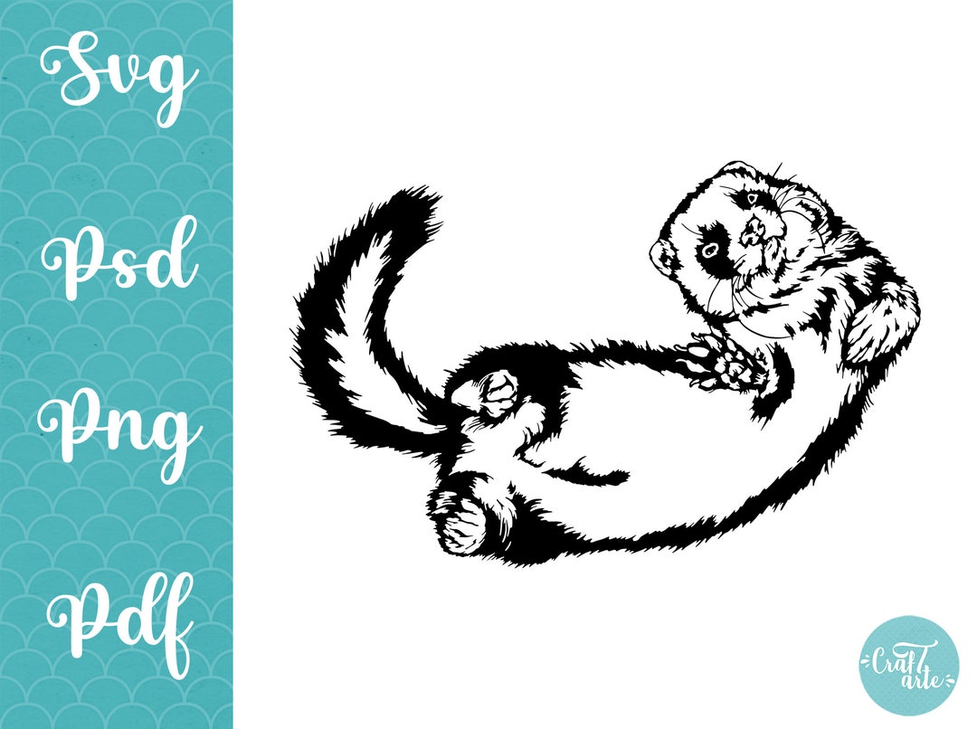 Ferrets PNG, Cute Ferret Svg, Ferret Design Clipart, Playing, Vector, Silhouette, Cricut Cut ...