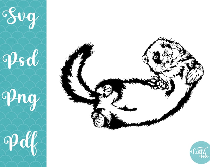 Ferrets PNG, Cute Ferret Svg, Ferret Design Clipart, Playing, Vector ...