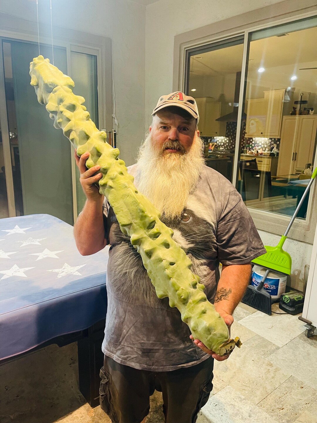 Rare Shottii Obesa Totem Pole Cactus Cutting - Etsy