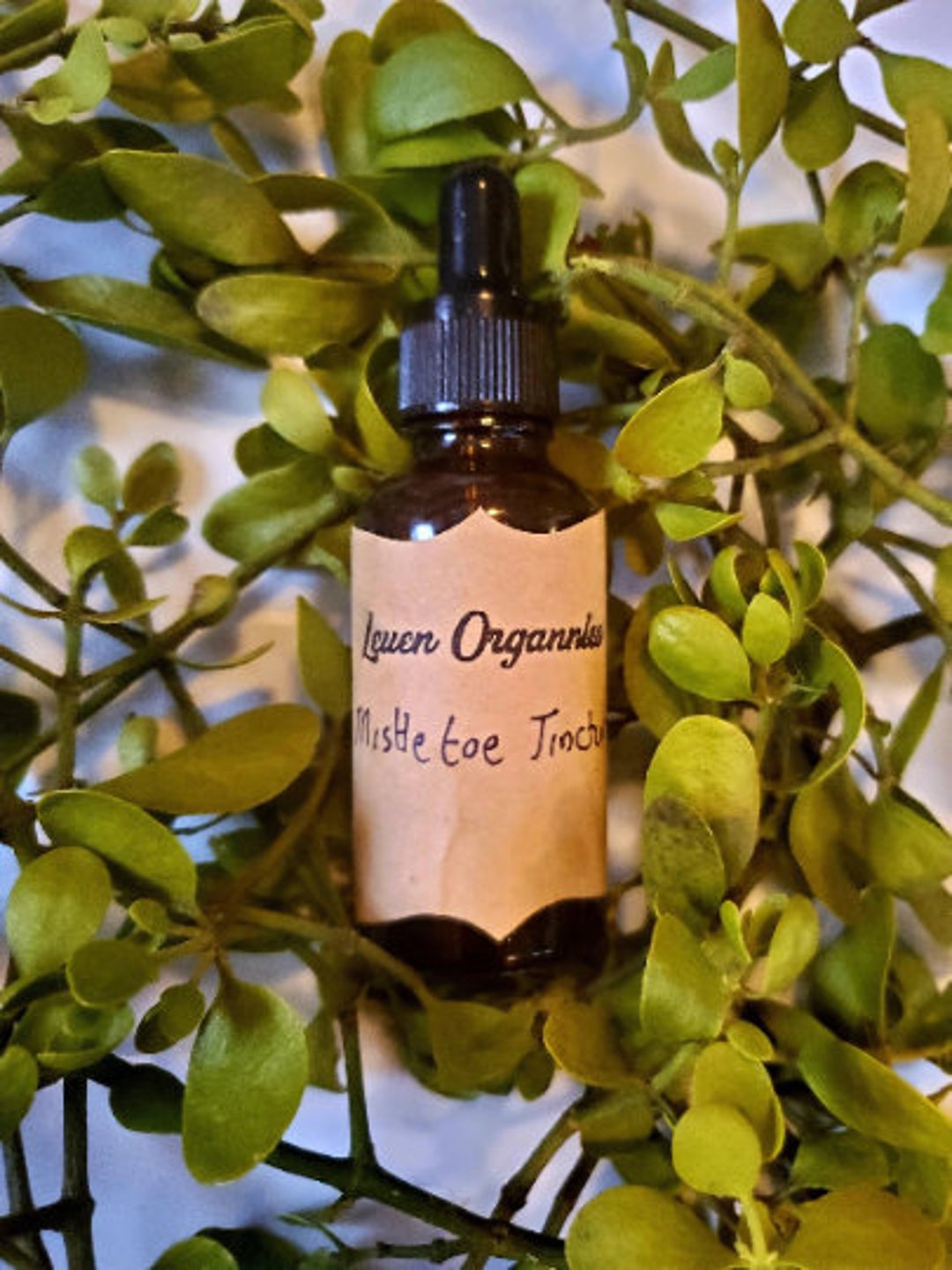 Mistletoe Tincture - Etsy