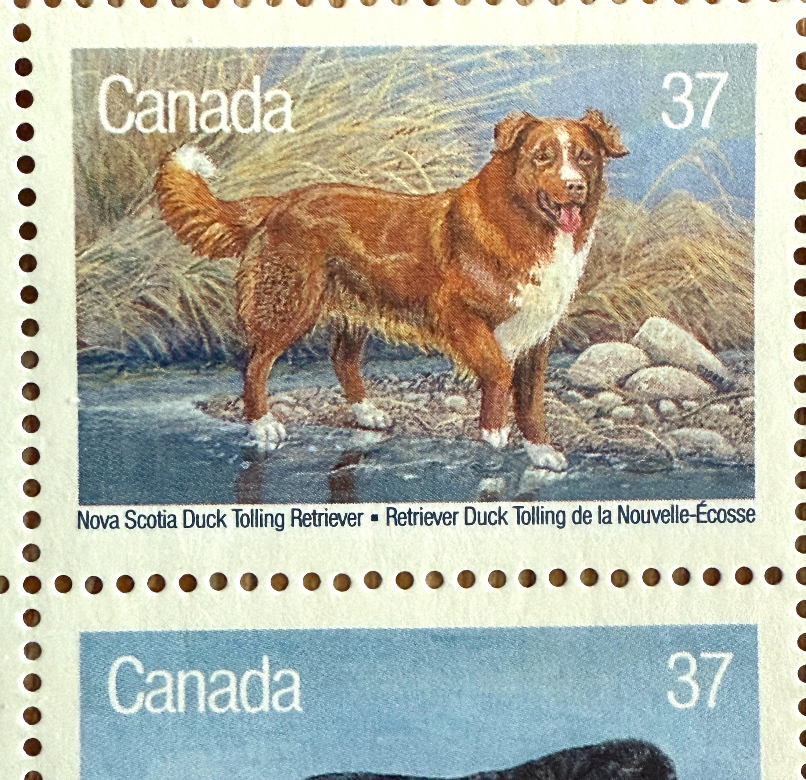 Dogs of Canada Thematic Stamp Sheet 1988 - Canada Post - Etsy