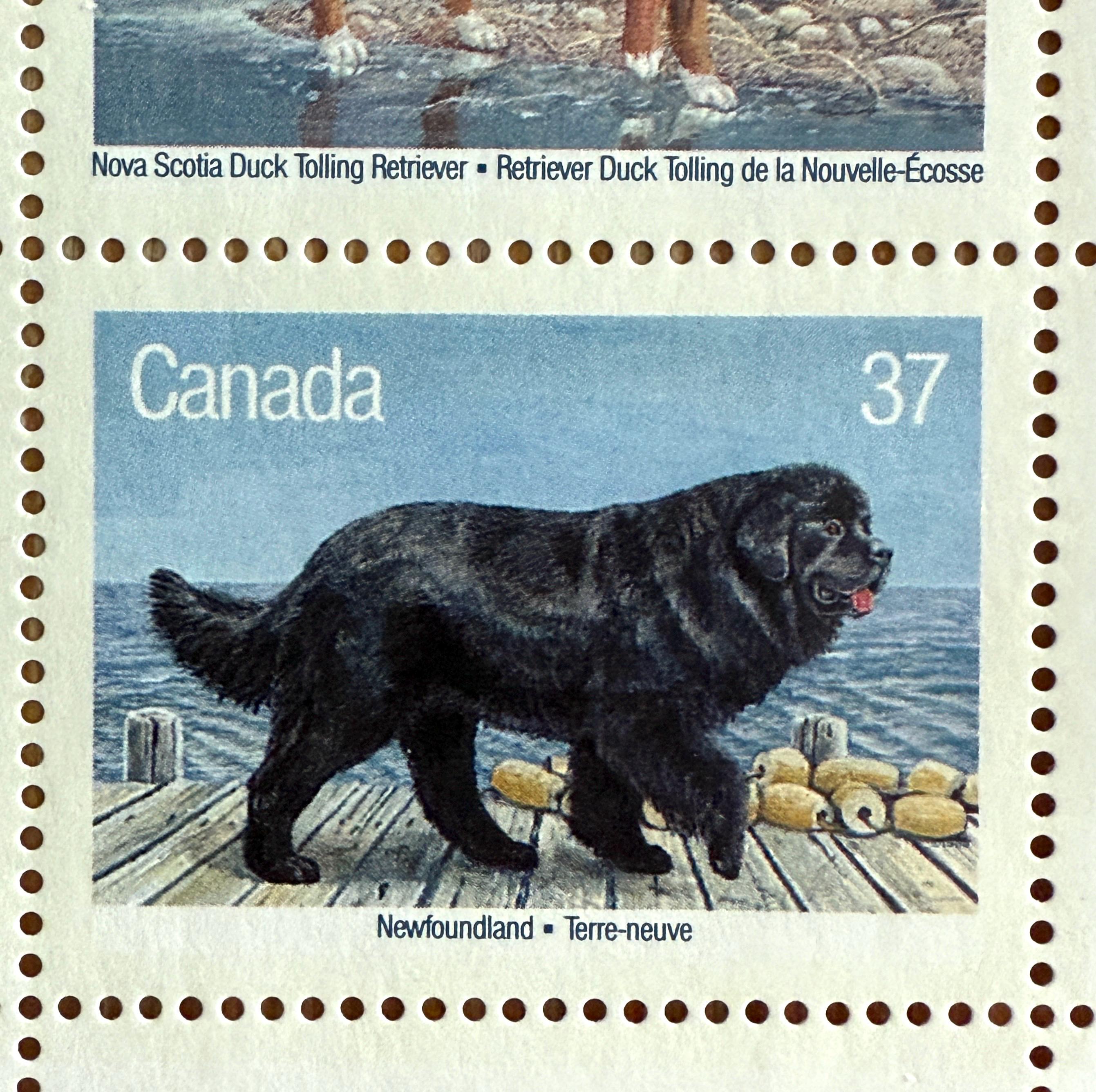 Dogs of Canada Thematic Stamp Sheet 1988 - Canada Post - Etsy