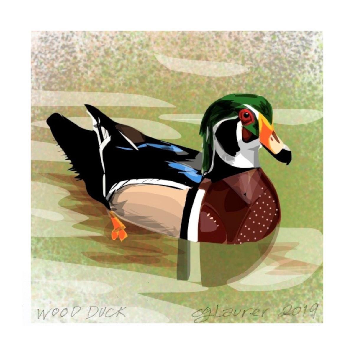 Wood Duck - Digital Image | Printable | Instant Download - Etsy
