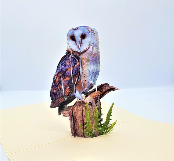 Handmade 3D Pop up Card Barn Owl Birthday Anniversary | Etsy