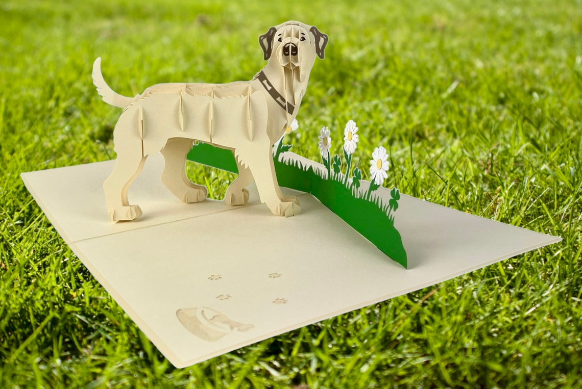 Handmade 3D Pop up Card Labrador Dog Birthday Blank Friendship - Etsy