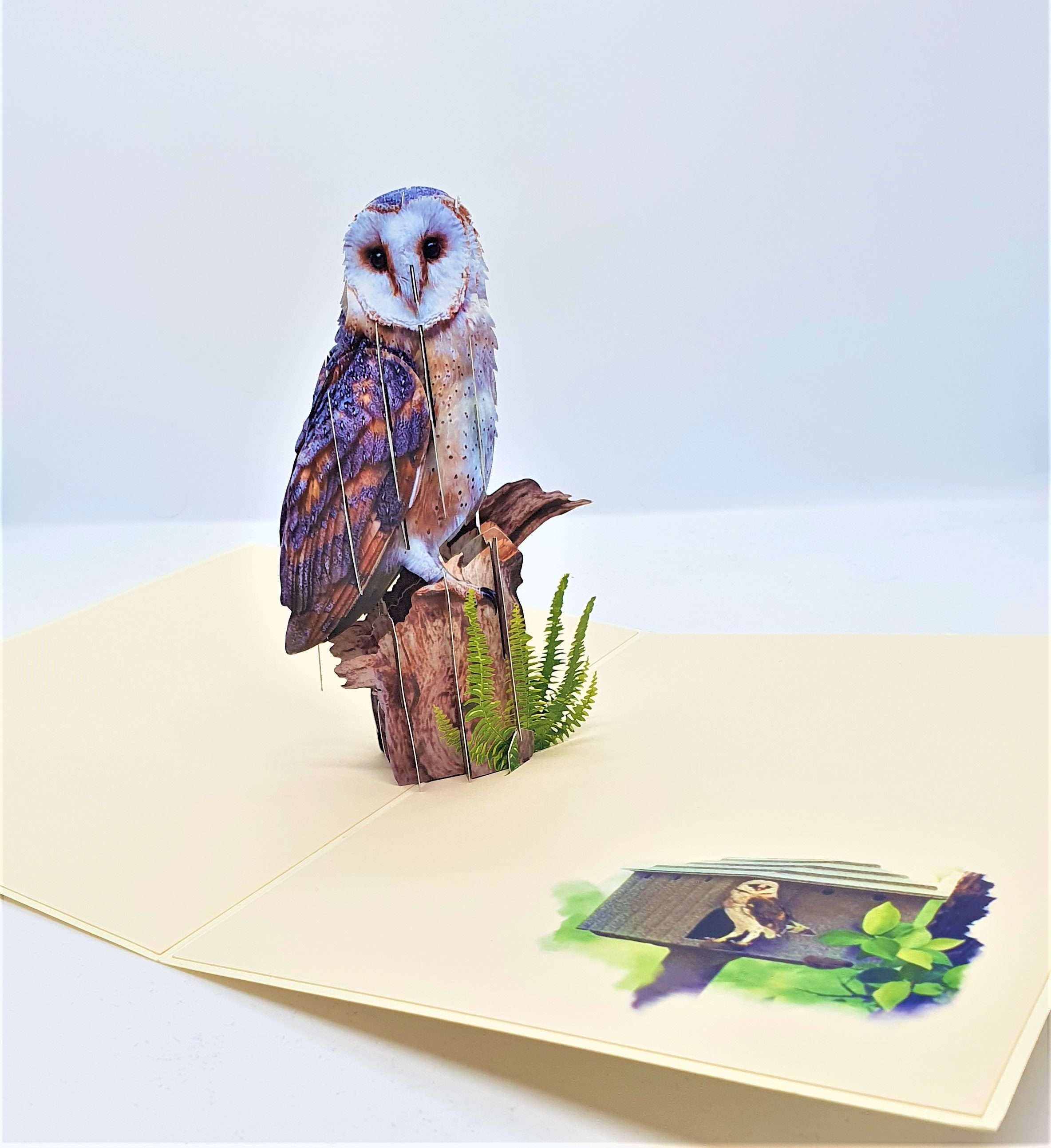 Handmade 3D Pop up Card Barn Owl Birthday Anniversary - Etsy UK