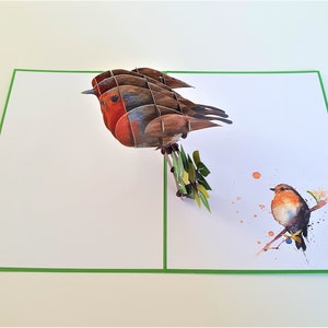 Handmade 3D Popup Card Robin Birthday Anniversary Xmas Good Luck - Etsy
