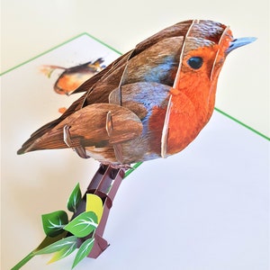 Handmade 3D Popup Card Robin Birthday Anniversary Xmas Good Luck - Etsy