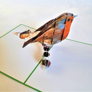 Handmade 3D Popup Card Robin Birthday Anniversary Xmas Good Luck - Etsy