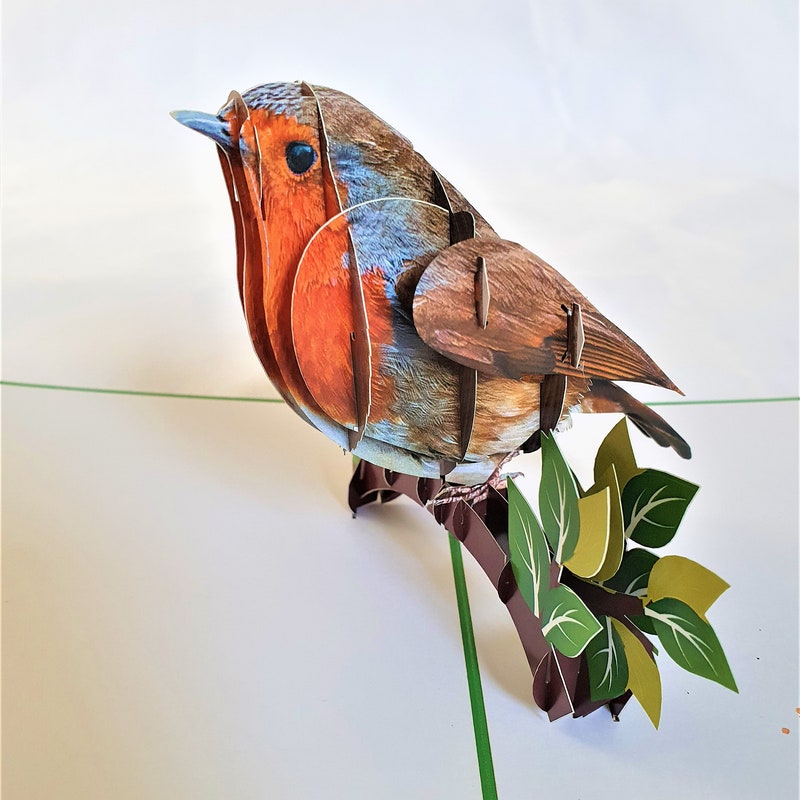 3 D Artist Birthday Card - Etsy UK