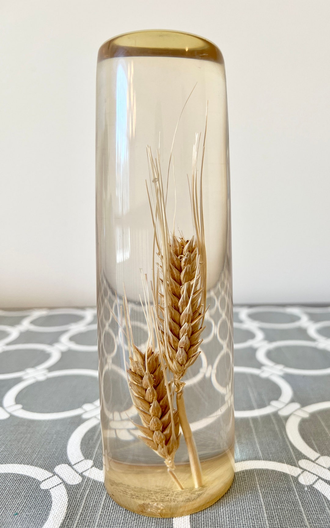 Vintage Daisyglas Lucite Resin Encased Wheat Paperweight/decor - Etsy