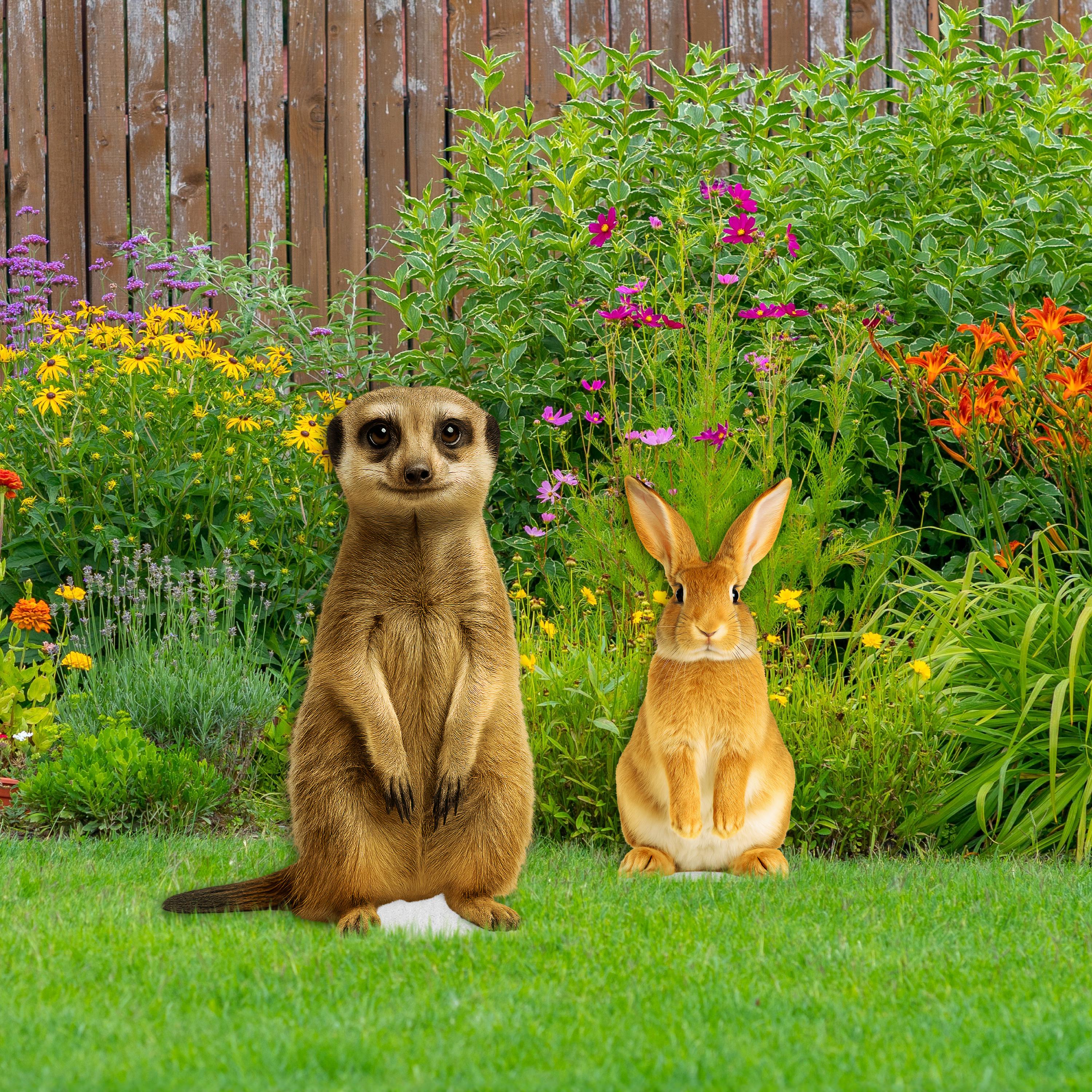 Animals Cutout, Cardboard Cutout, Life Size Cardboard Cutout for Kids ...