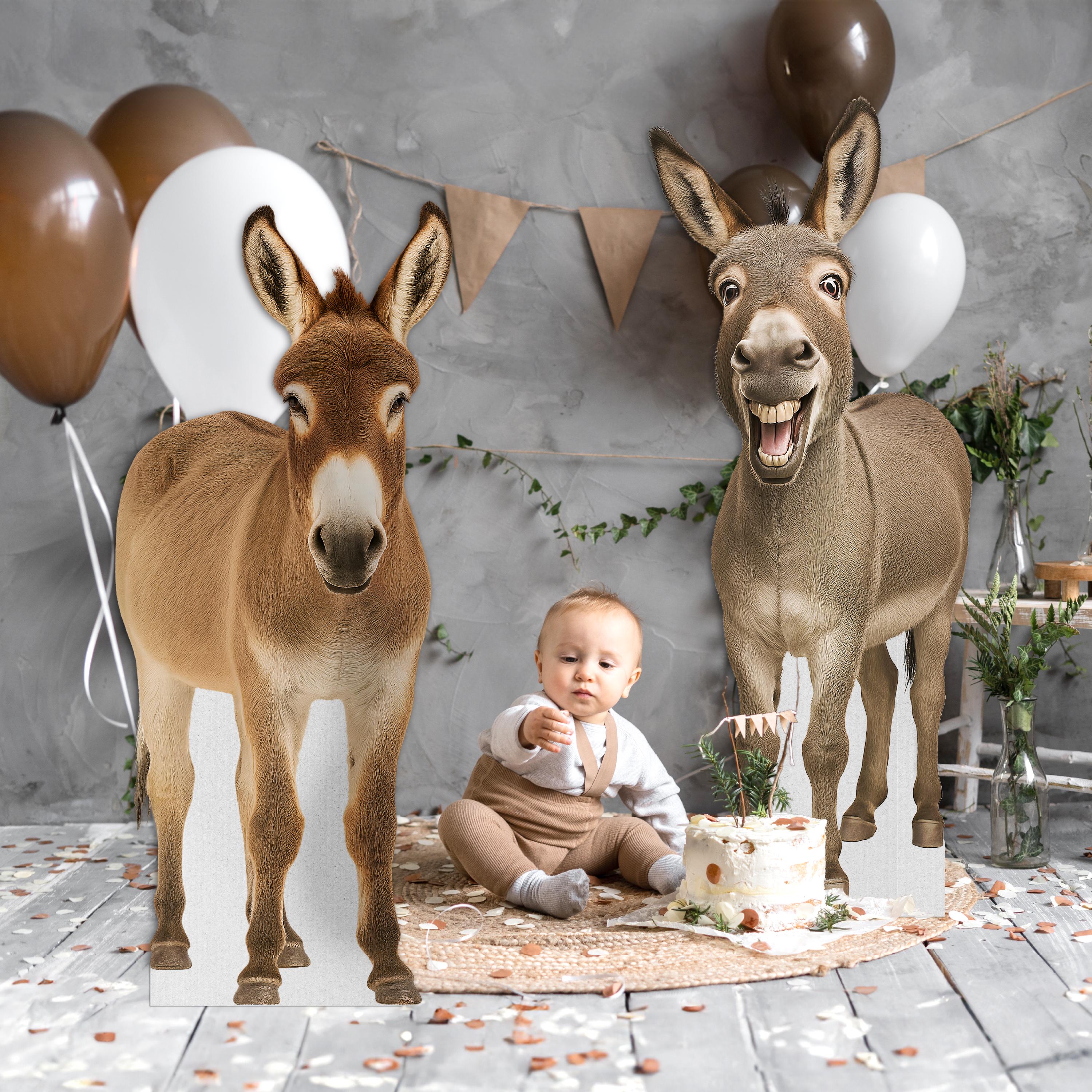 Animals Cutout, Cardboard Cutout, Life Size Cardboard Cutout for Kids ...